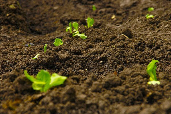 Ron Alexander Presents at COAM Workshop in St. Louis