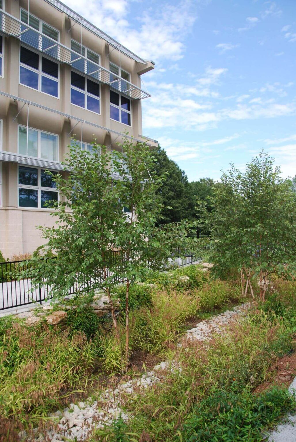 Innovative Bioswales Solutions | MKB Company